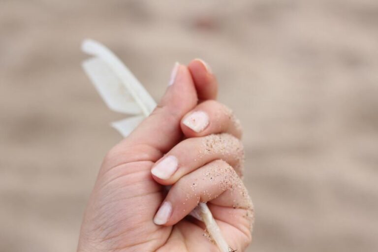 Finding Feathers on the Ground / Path: 9 Spiritual Meanings