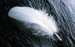 9 Spiritual Meanings of Finding a (Small) White Feather