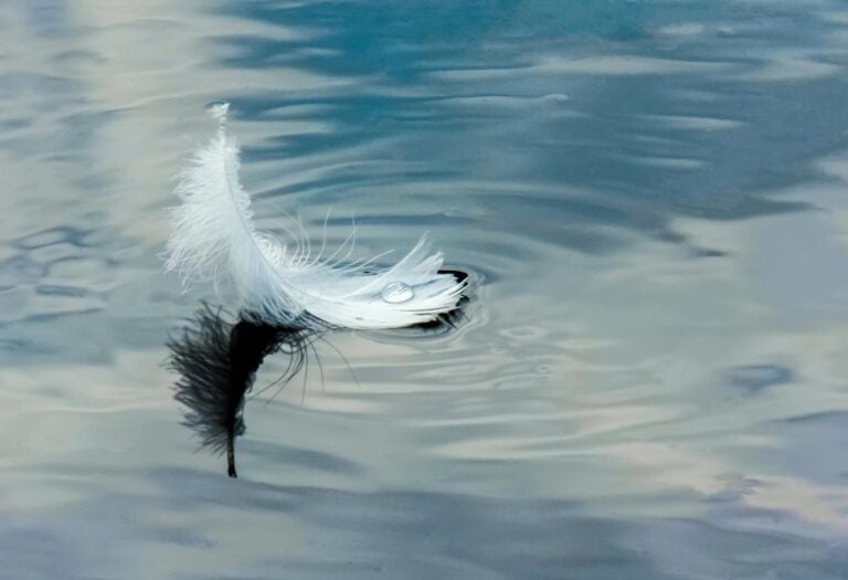 9 Spiritual Meanings of Finding a (Small) White Feather