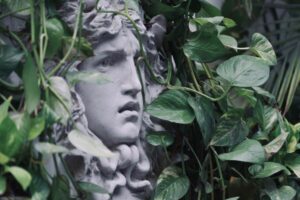 What does Medusa Symbolize? 11 Spiritual Meanings