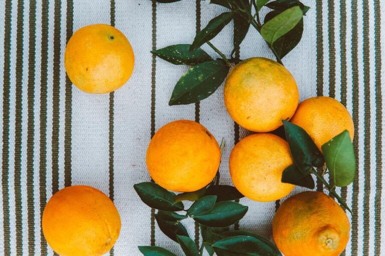 11 Spiritual Meanings of Oranges: Real Life and Dreams