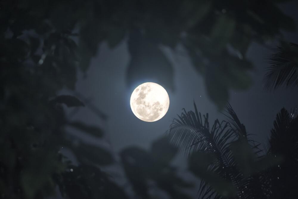 Cold Moon Spiritual Meaning in 2022 and 2023 (December)