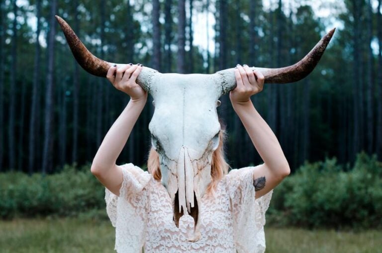 What Does A Skull Represent 9 Spiritual Meanings What Does A Skull Represent 9 Spiritual Meanings