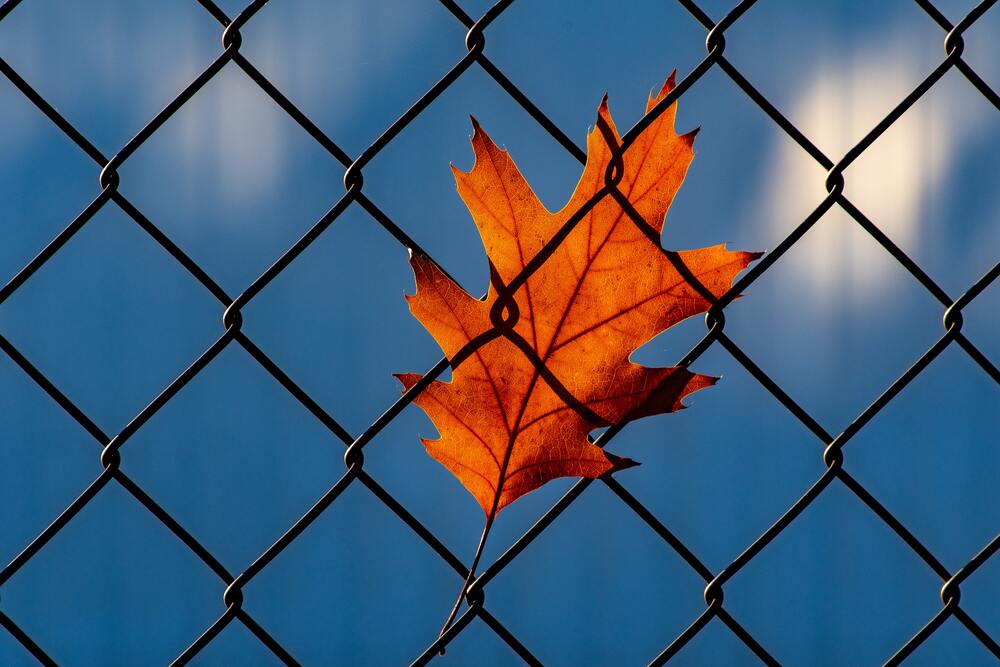 11 Spiritual Meanings of Jail: In Dreams and Real Life