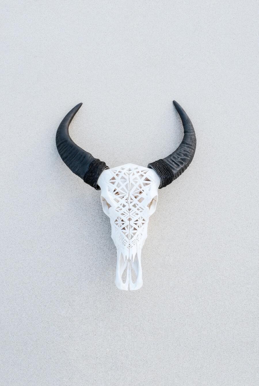 What Does A Skull Represent 9 Spiritual Meanings What Does A Skull Represent 9 Spiritual Meanings