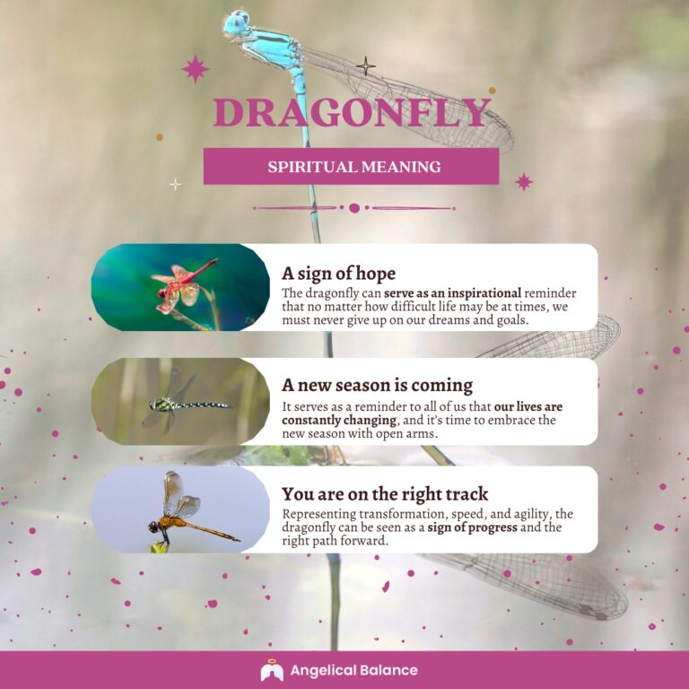 15 Spiritual Meanings of a Dragonfly: Is Seeing one Good Luck?