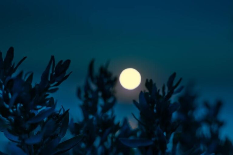 Yellow Moon Spiritual Meaning: Why is the Moon Yellow?
