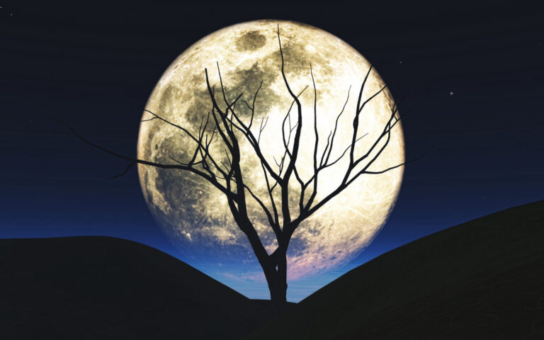 7 Full Moon Effects On Empaths (Energy Effects)