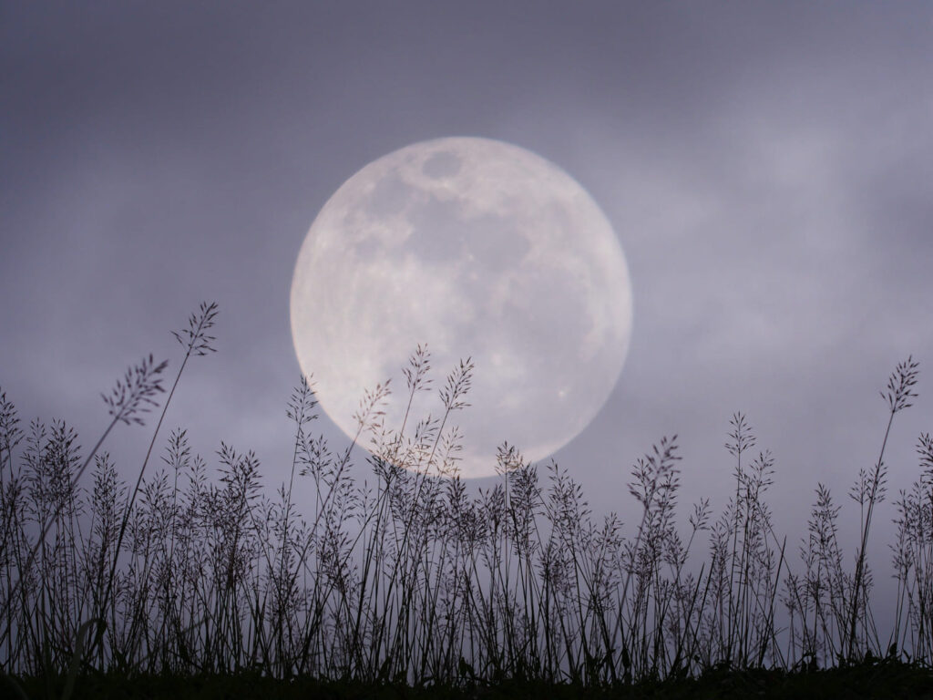 7 Full Moon Effects On Empaths (Energy Effects)