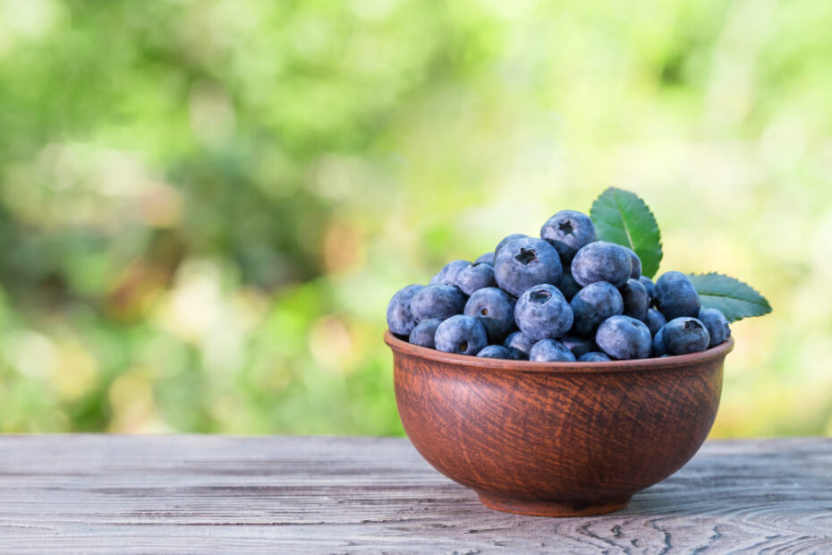 Blueberries Spiritual Meaning and Symbolism: 7 Messages