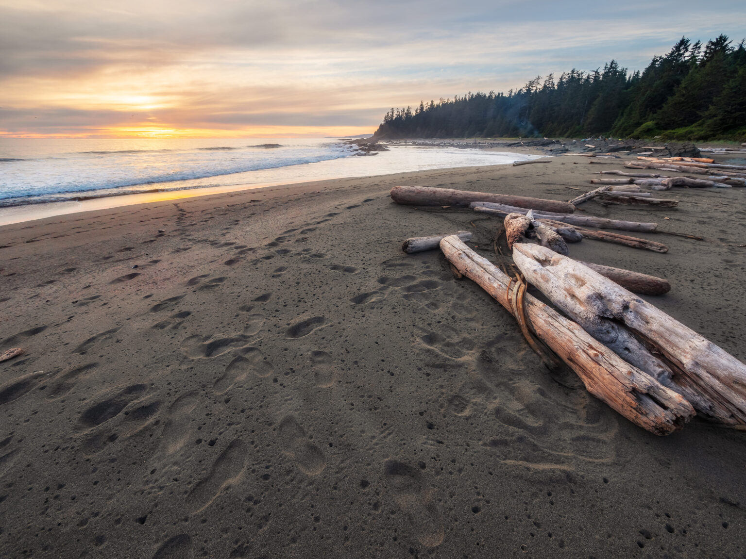 Driftwood Spiritual Meaning: Symbolism and 7 Powers